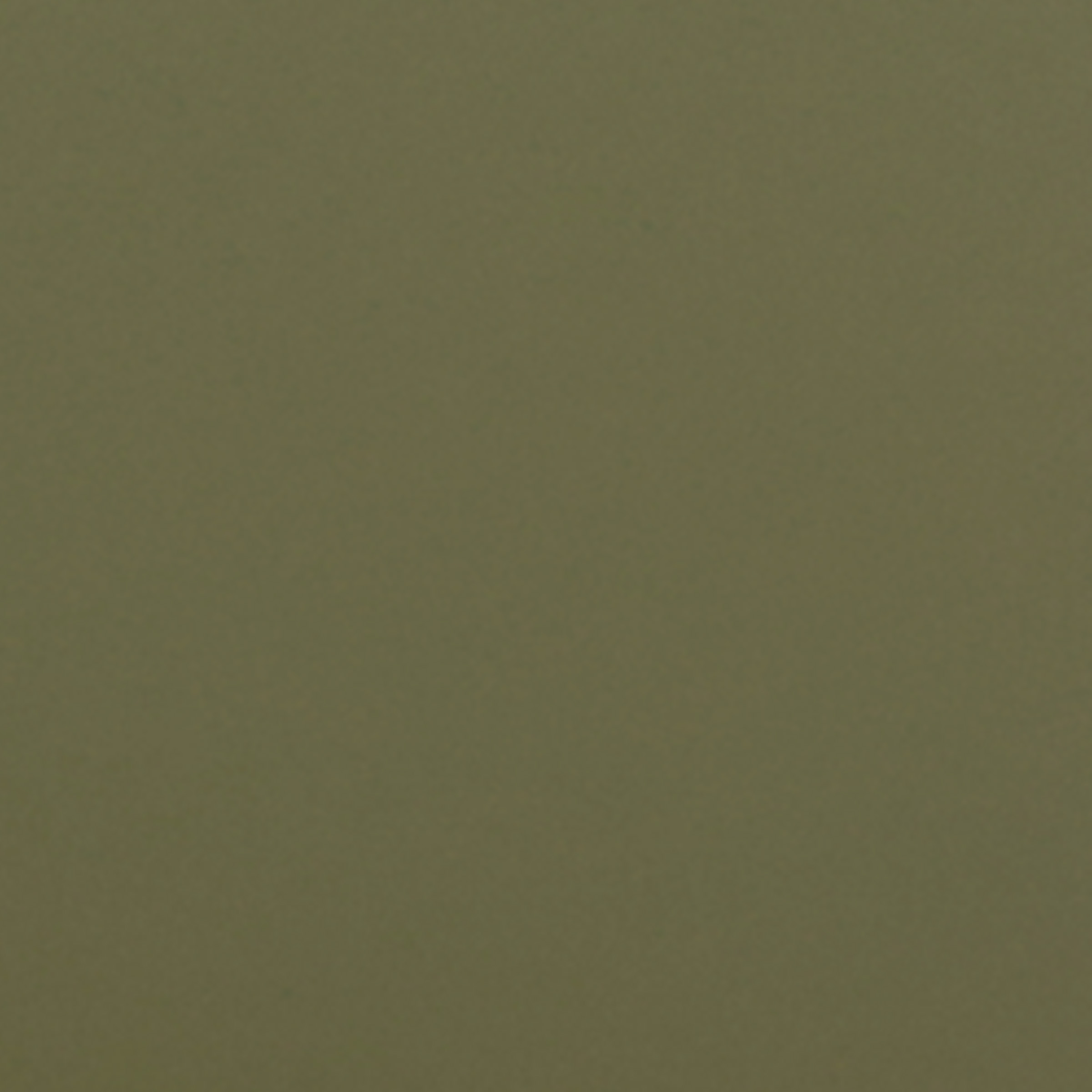 Lizard – Elite Global Solutions